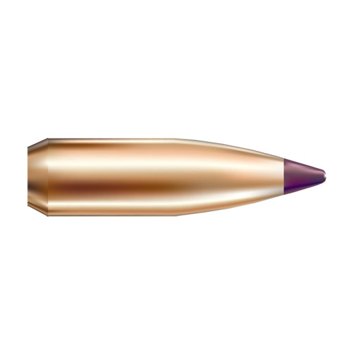 BALLISTIC TIP VARMINT (0.243') BULLETS NOSLER 6MM (0.243") 70GR SPITZER 250/BOX - Brownells UK